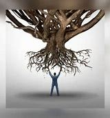 The AnkiDroid Collection (Part 47) – Deracinate, 5th Generation Warfare ...